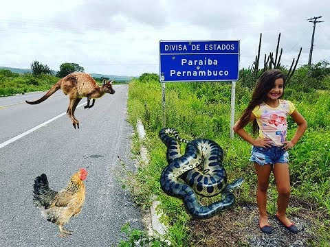 Rotina indo Pra Casa Da Minha Vó, Na Paraíba (Vlog Da Chaylla Alax)