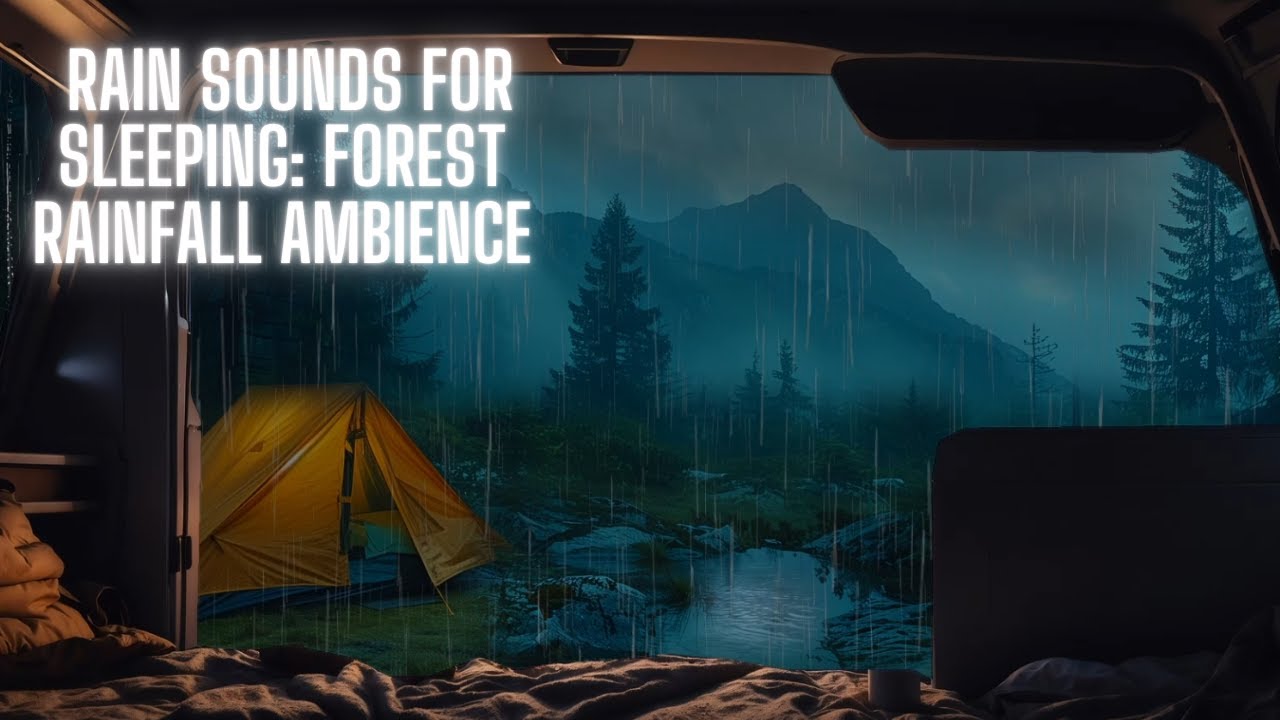 Rain sounds for sleeping: Forest rainfall ambience - YouTube