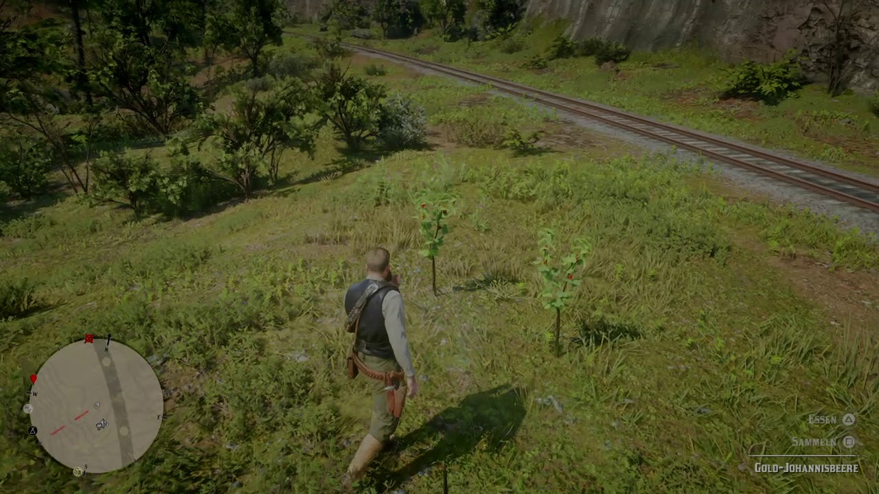 Red Dead Redemption 2 Kräuterkenner 3 Rebhuhnbeere Fundort - YouTube