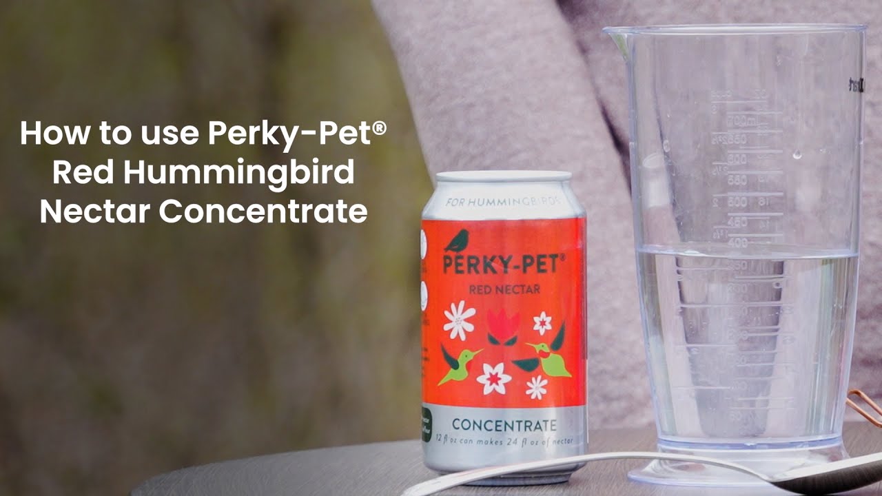 How to Use Perky-Pet Red Hummingbird Nectar Concentrate - YouTube