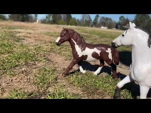 Captured || A Schleich Horse Movie || Part 4 The Finale!! - YouTube