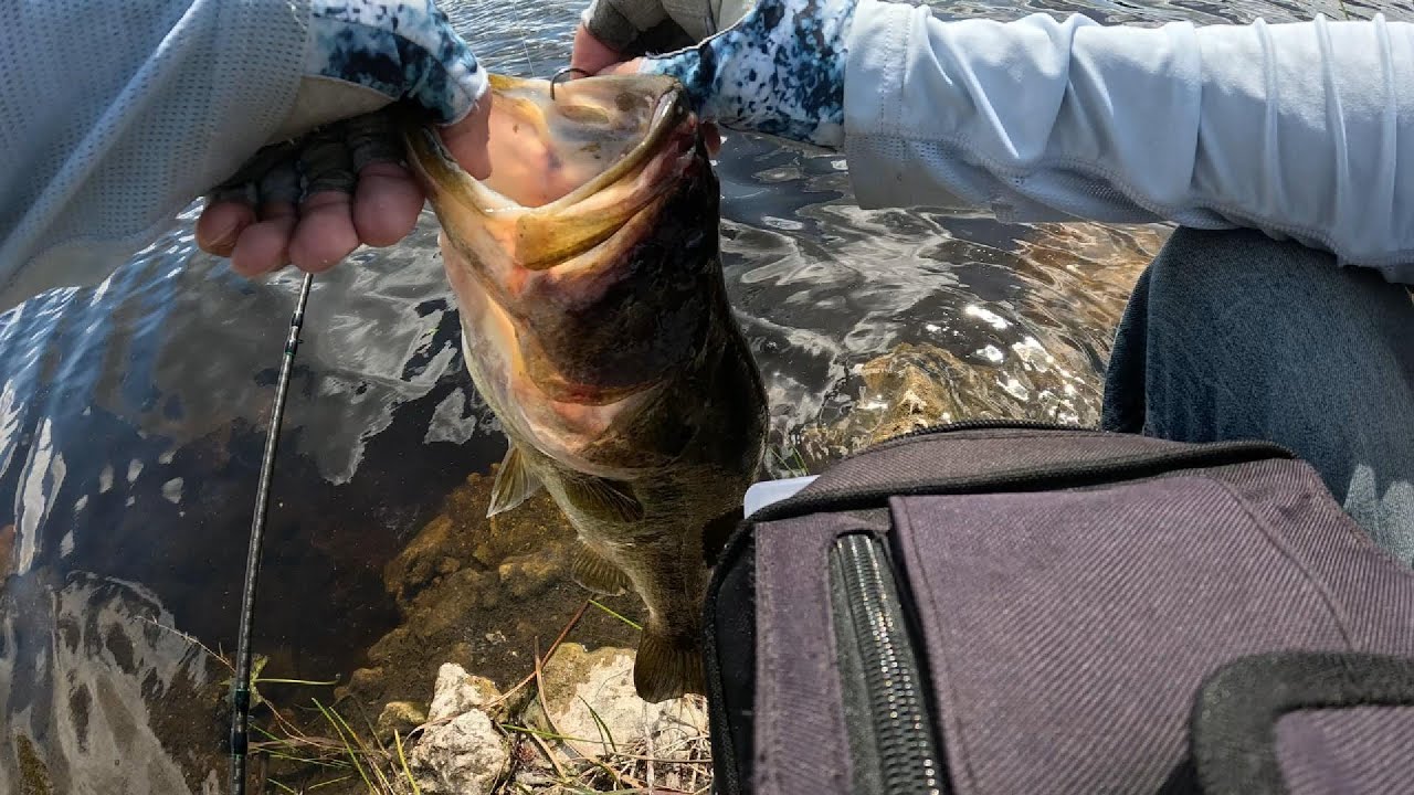 Remarkably Great Day Fishing For Bass On Full Moon 2/2 - YouTube