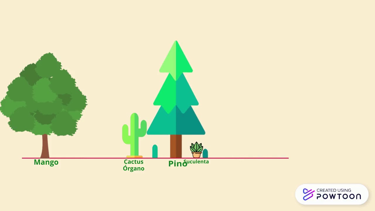 Comparar alturas de plantas - YouTube