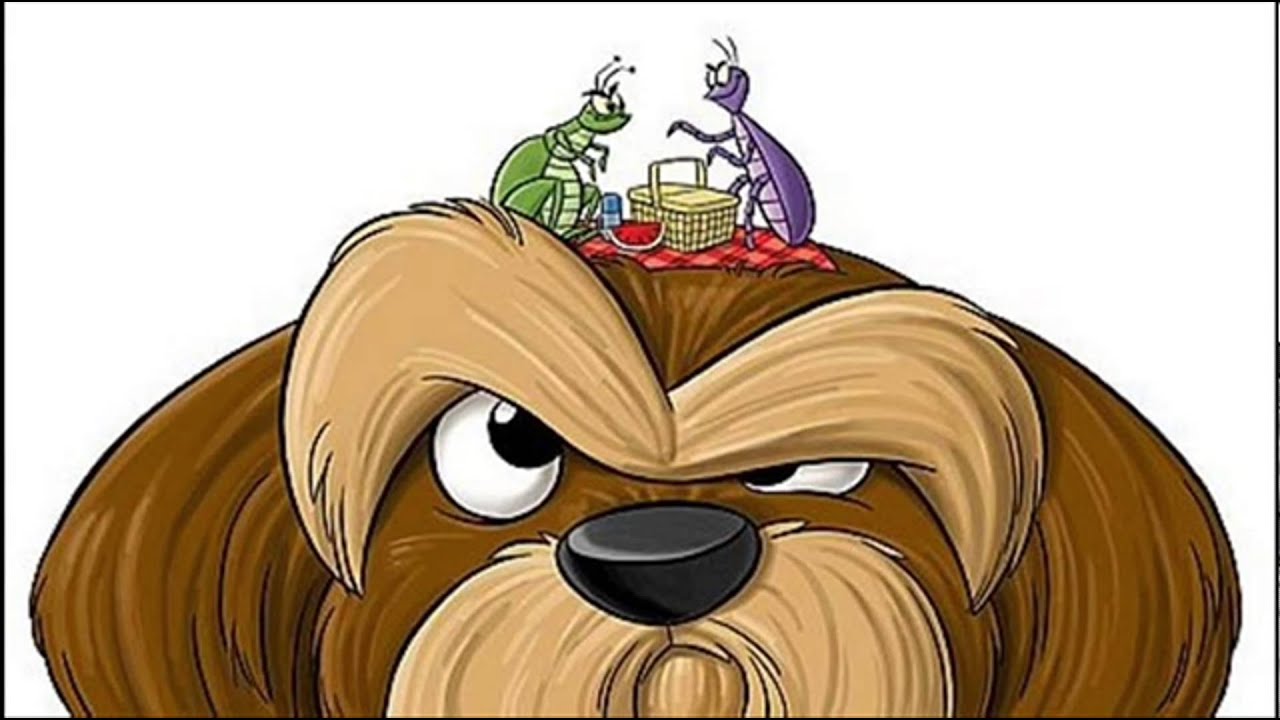 La pulga aventurera - Canciones infantiles para los chicos - Planeta ...