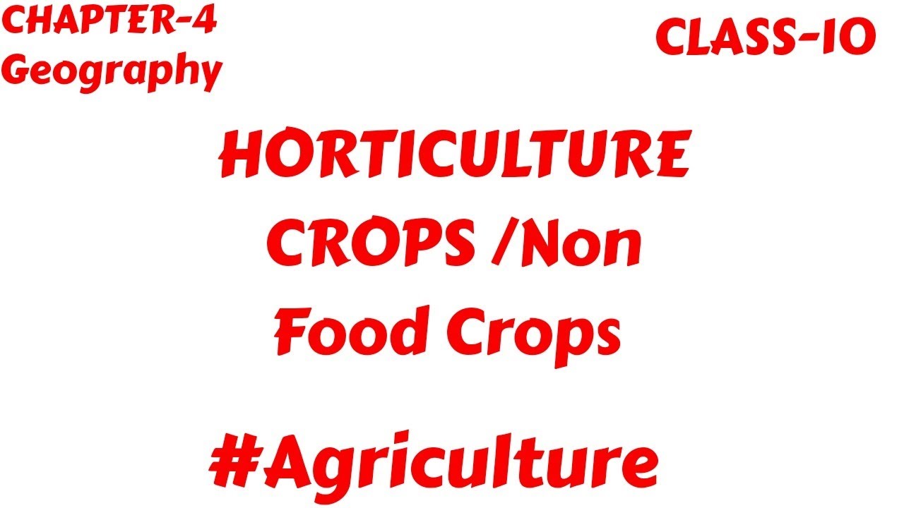 Horticulture crops / non food crops / class 10 / geography / ch -4 ...