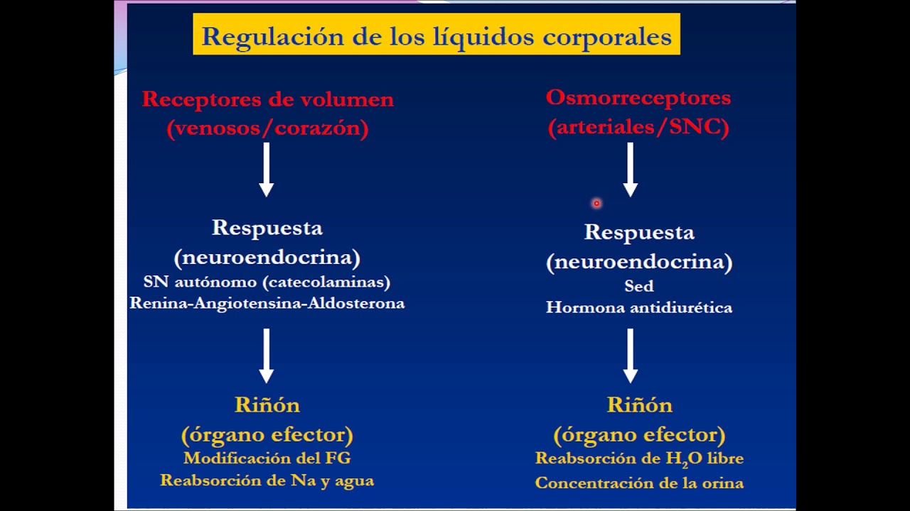 hipovolemia hipervolemia - YouTube