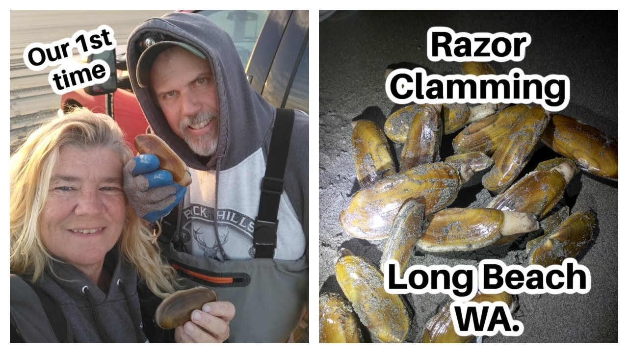 Razor Clam Techniques - Washington State - Catch and Cook! - YouTube