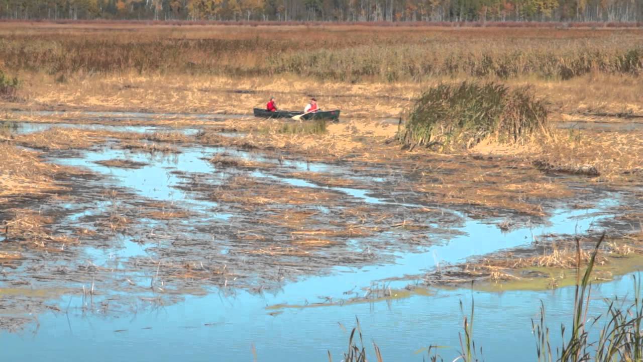 Pine Point Landing to Iron Bridge Campsite - YouTube