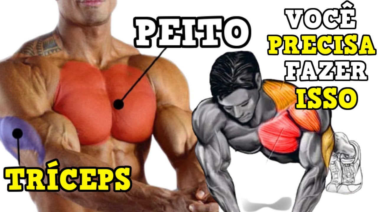 Treino De Peito Para Iniciantes Em Calistenia Em Casa Completo Youtube