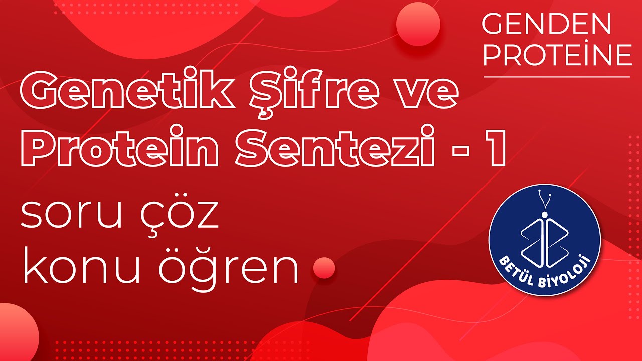Genetik Şifre ve Protein Sentezi - 1 | Soru Çözümü | 12. Sınıf Biyoloji ...