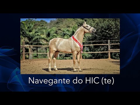 Navegante do HIC (te) - YouTube