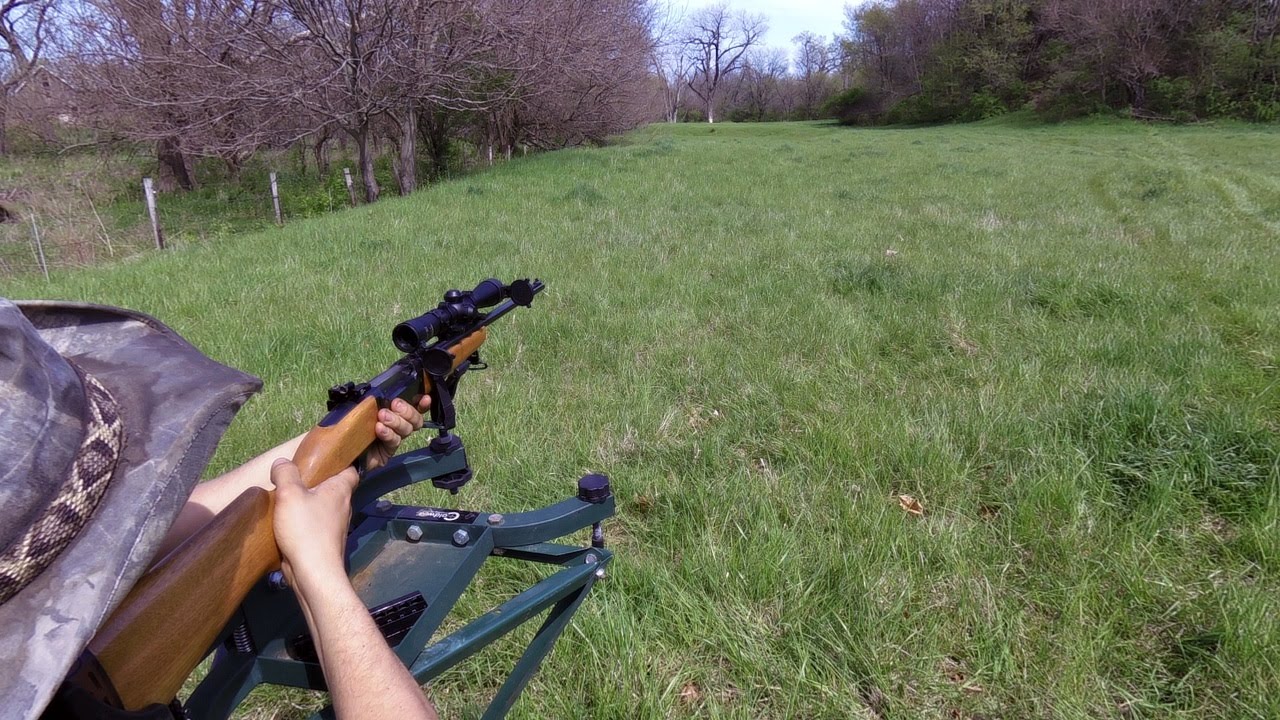 TGO Savage Model 99 Scout and Marlin Model 336 Scout Rifles! - YouTube