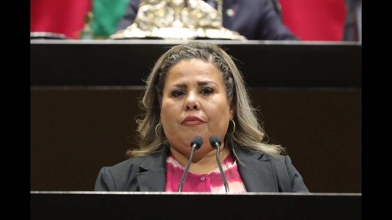 Dip. Sandra Luz Navarro Conkle (Morena) / Reservas al dictamen del # ...