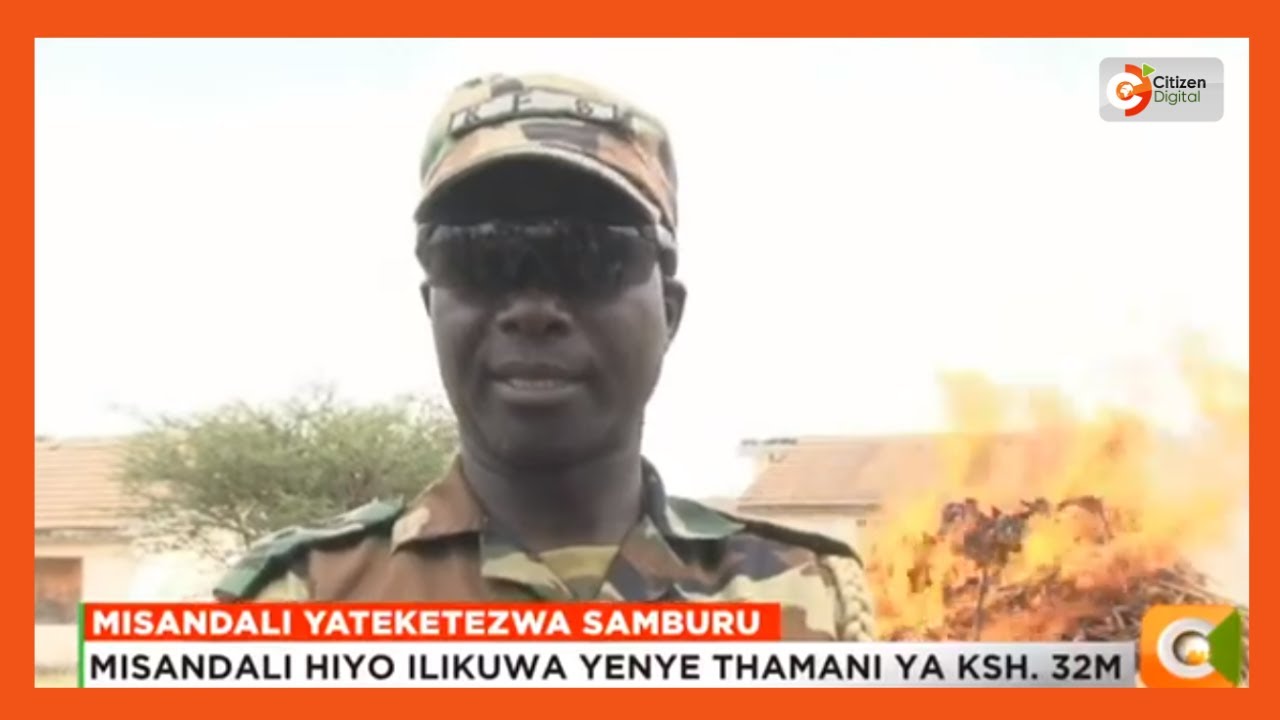 Tani nane za misandali yenye thamana ya shilingi 32M zateketezwa katika ...