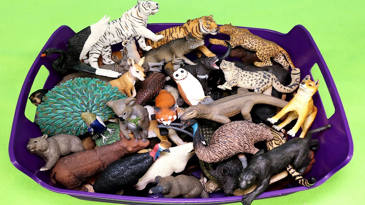 30 Plus Asian and Australian Animal Figurines Collection - YouTube