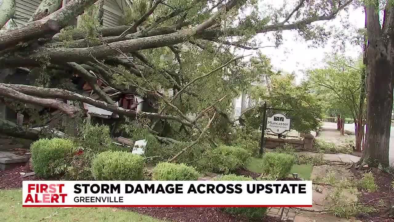Massive tree falls on building - YouTube