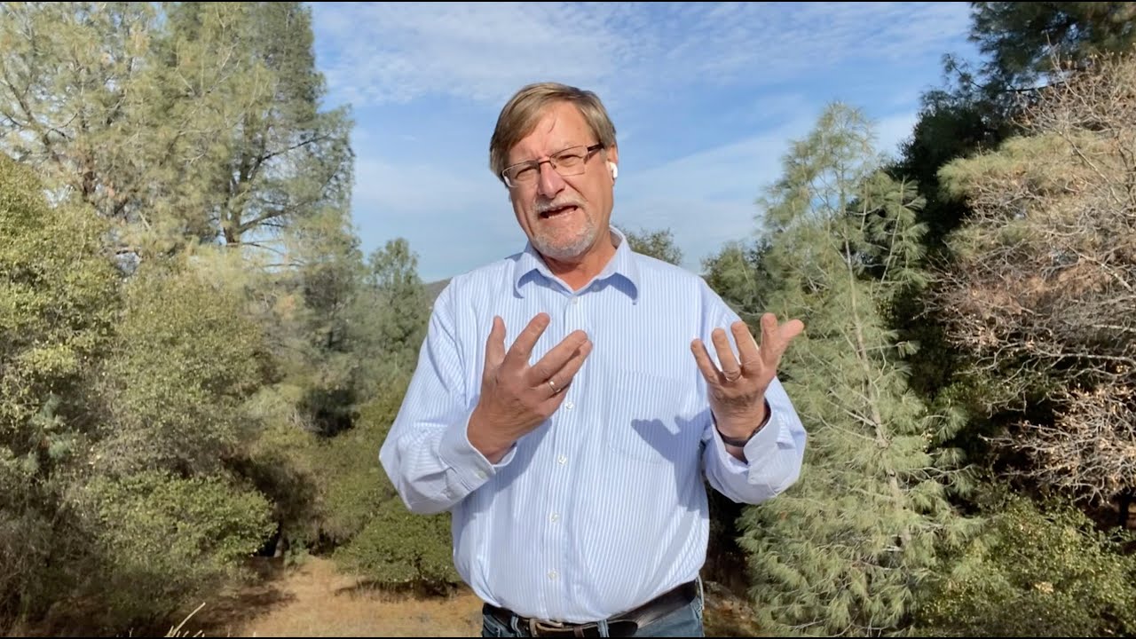For the Curious: What is our Self and Pseudo Self? - YouTube