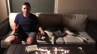 The Hounds Way (reel) on The Session