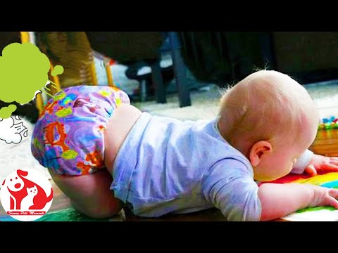 Funniest Baby Make A Super Fart #2! Funny Pets Moments #babyfarts