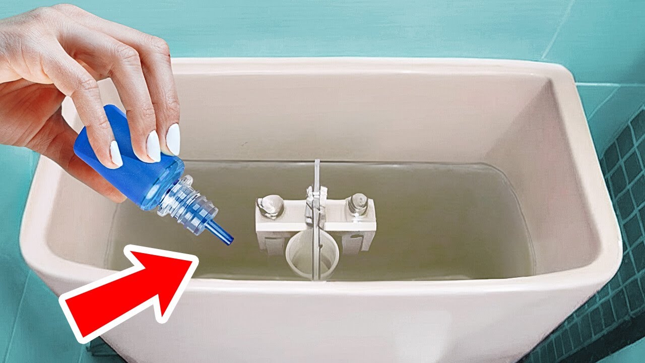 トイレに食紅を入れるとどうなる : 有名YouTuber