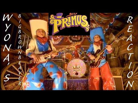 Primus Wyona's Big Brown Beaver Live Reaction - YouTube