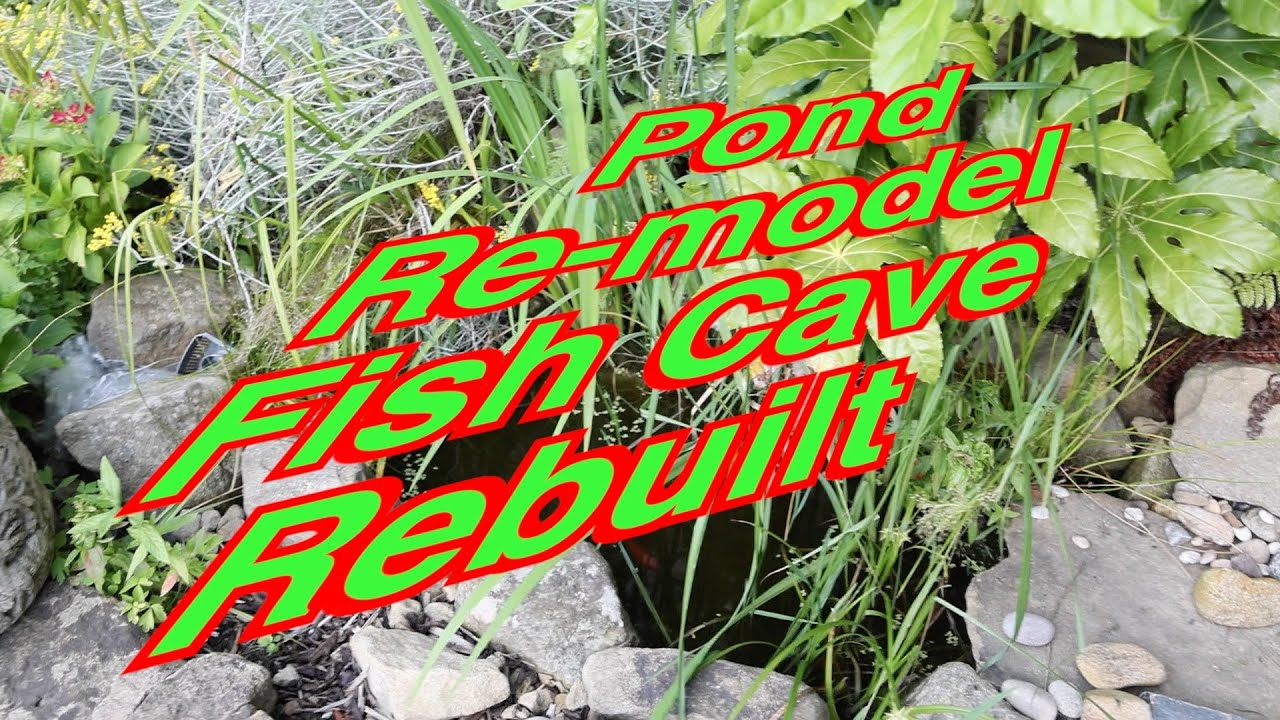 Build a fish Cave, Rebuild your pond. - YouTube