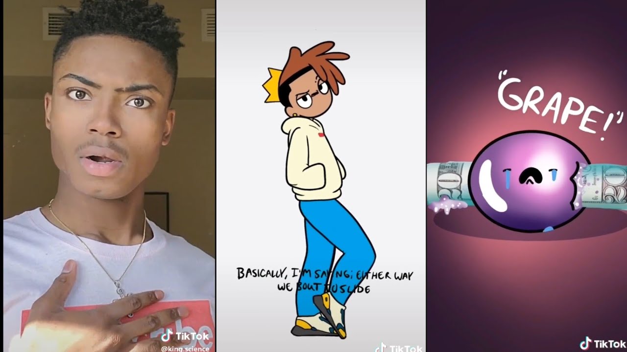 King Science l Best of TikTok Compilation on 2020 @king.science. l ...