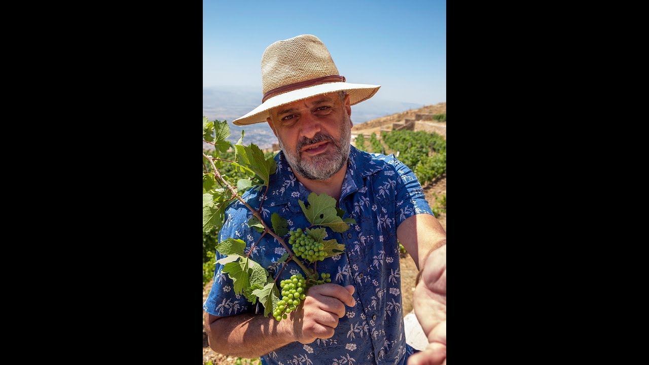 WINE and WAR with Dr. Eid Azar | Vertical 33 - YouTube