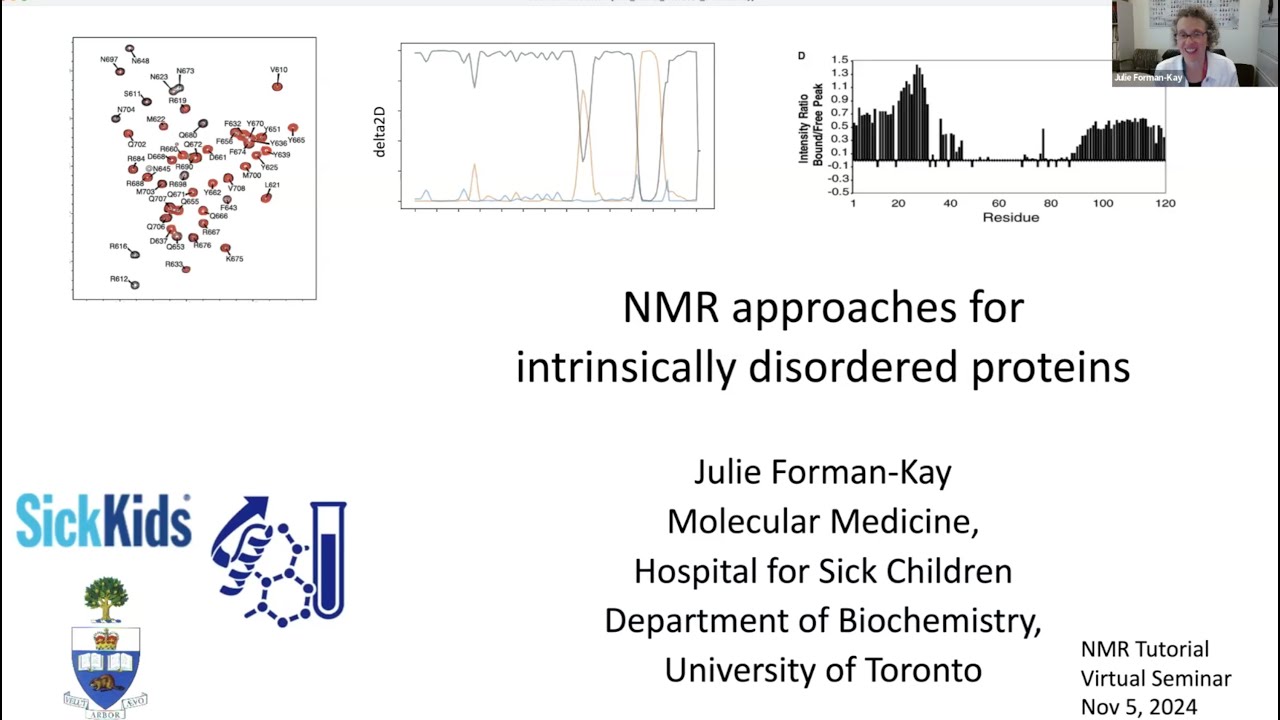 NMR approaches for intrinsically disordered proteins | Prof. Julie ...