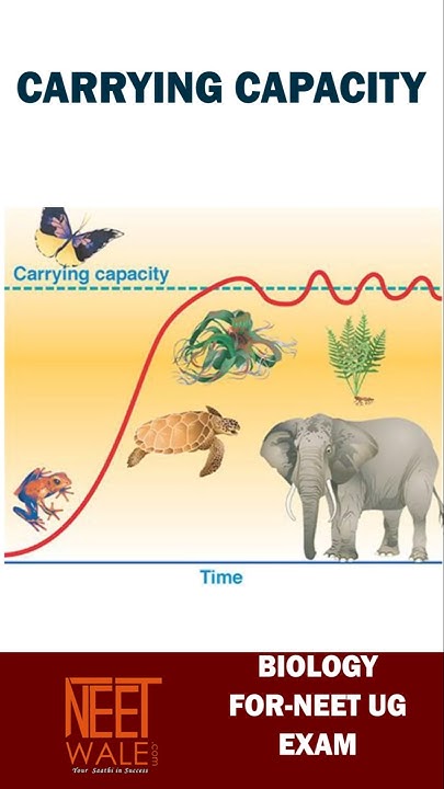 Carrying Capacity | Ecological Carrying capacity on the Basis of DNA ...