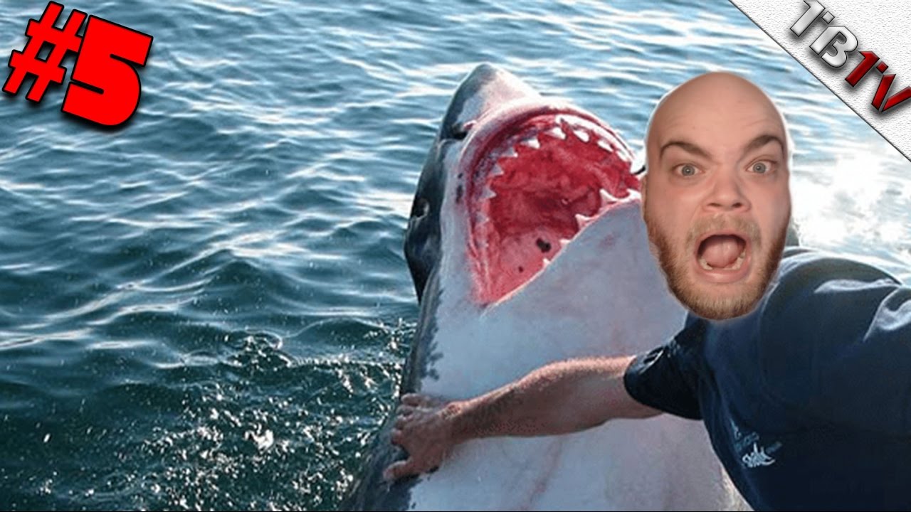 Stranded Deep Gameplay EP5 - SHARK REVENGE! - Survival Games - YouTube