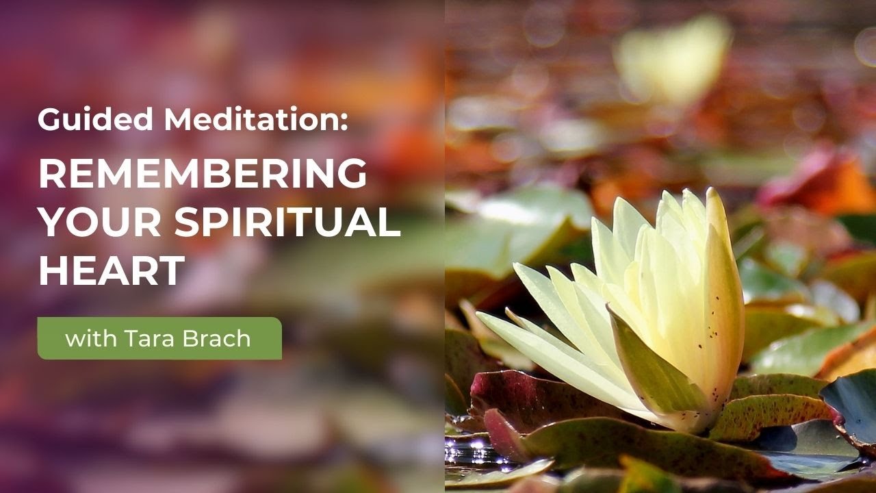 Guided Meditation: Remembering Your Spiritual Heart with Tara Brach ...