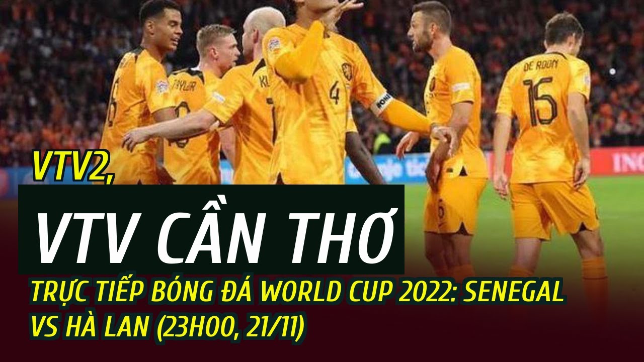 VTV2, VTV Cần Thơ trực tiếp bóng đá World Cup 2022: Senegal vs Hà Lan ...