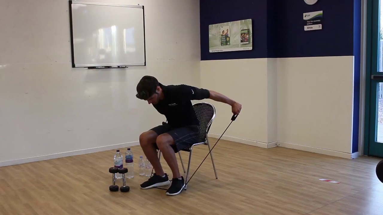 Seated Triceps Kickback - YouTube