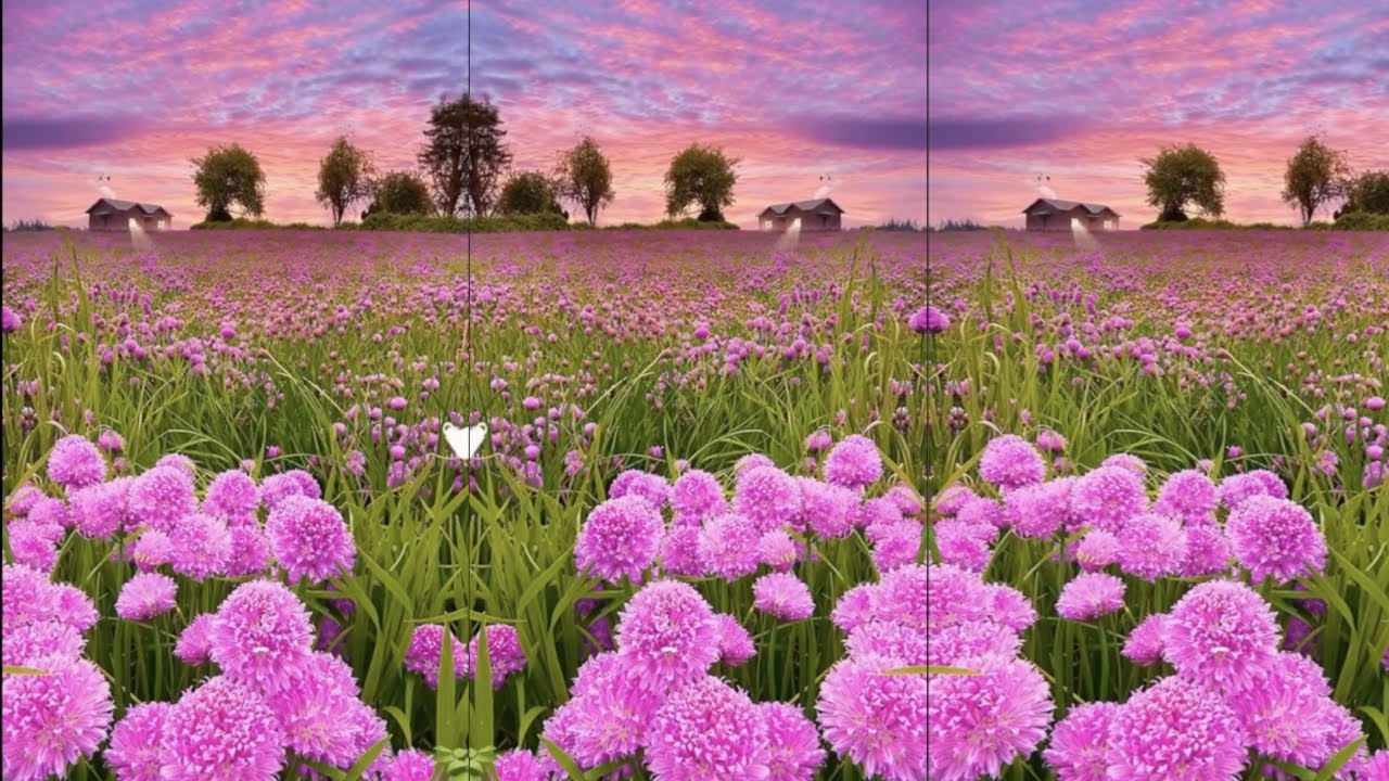 Amazing and Beautiful Nature Scenery in the World | NEVER SEEN ...