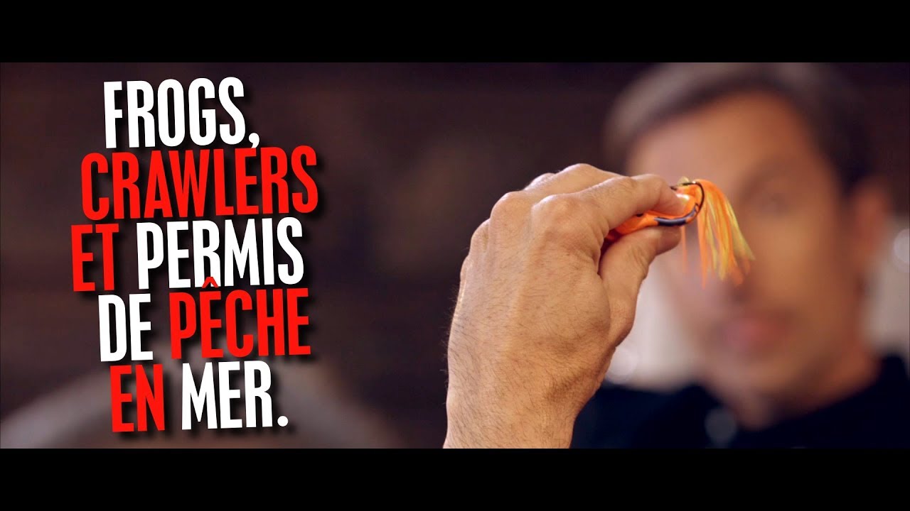 FROGS, CRAWLERS, PERMIS DE PÊCHE EN MER / 🐟Fishing Club EP09🐟 - YouTube