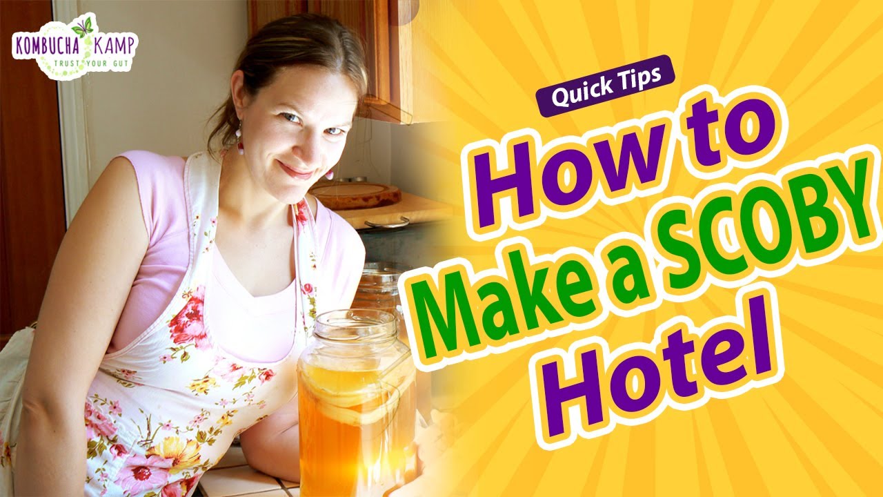 How to Make a SCOBY Hotel - Quick Tips || Kombucha Kamp - Hannah Crum ...