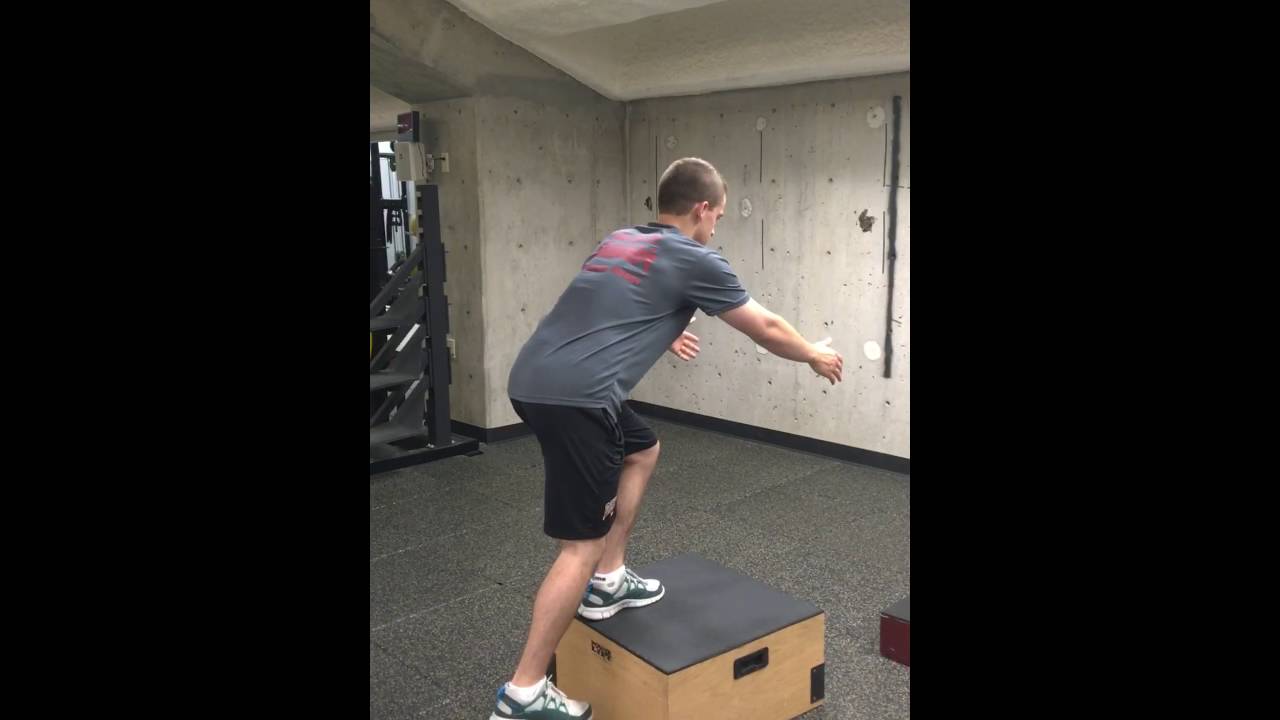 Single Leg Step Down Iso - YouTube