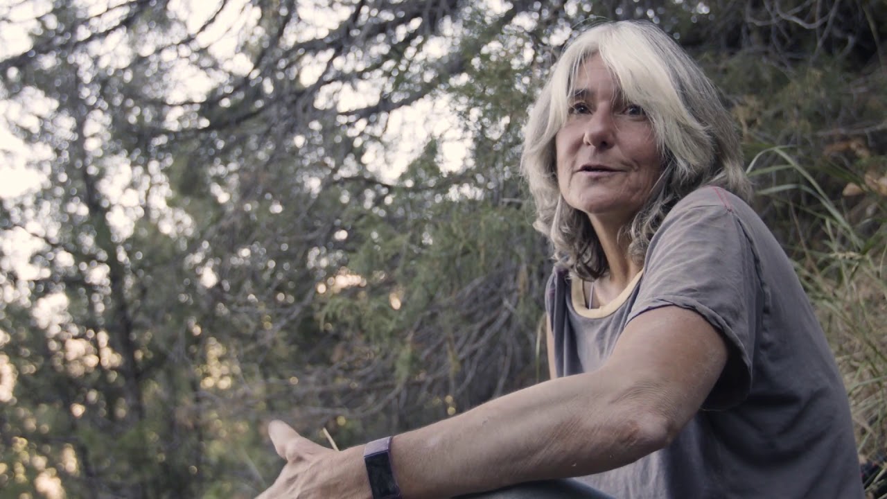 True Wild: A Wolf Biologist Studies Lobos on Ted Turner’s Flying D ...