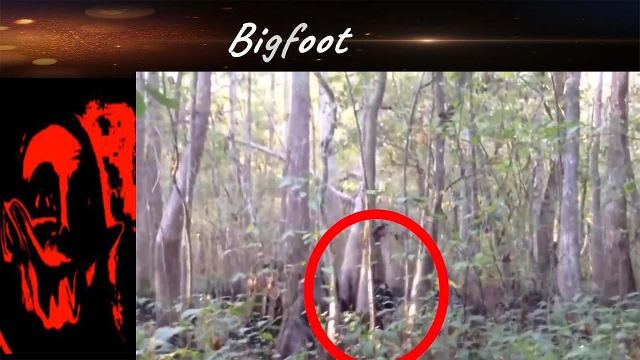 Mr. Incredible Becoming Uncanny (Mystical Creatures Caught On Camera ...