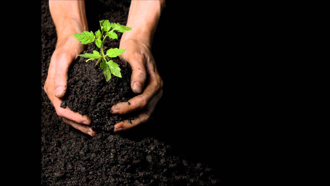 The Unrighteous Steward - YouTube