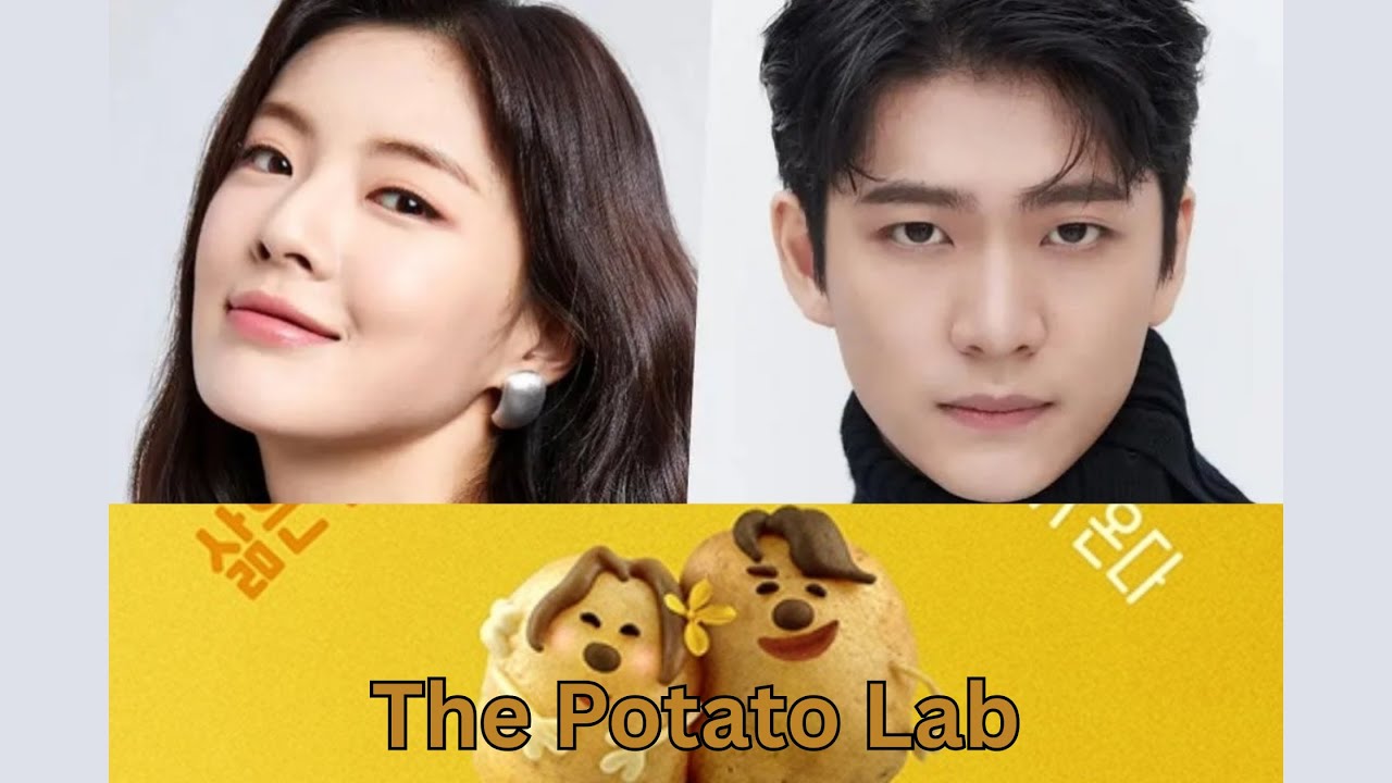 Every Day Bloom - The Potato Lab CST - (Music Video) #kdrama #love # ...