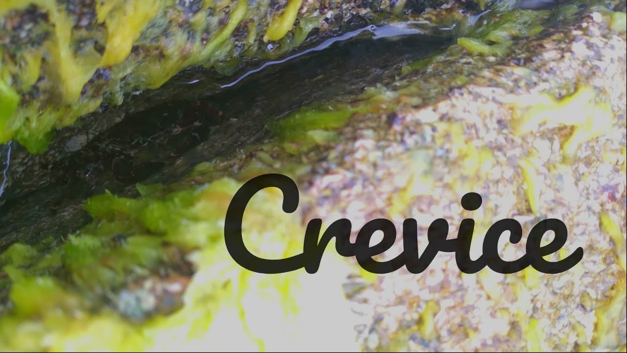 Crevice - YouTube