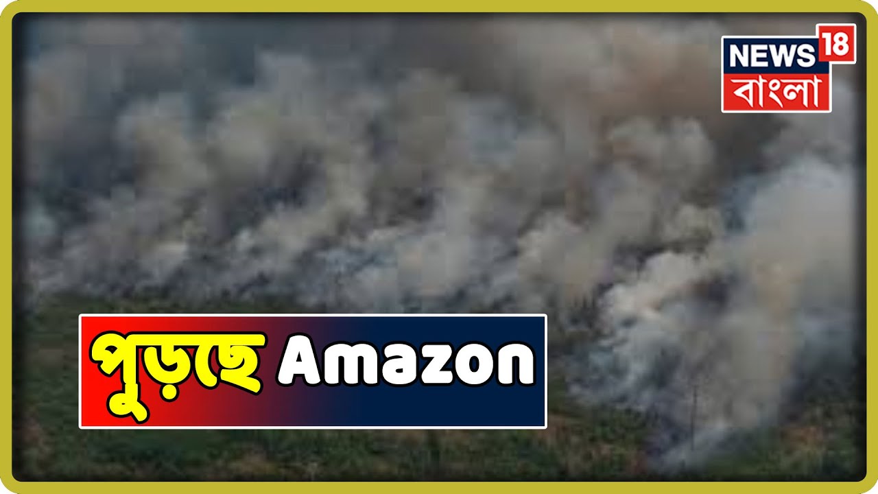 Amazon Forest Fire: Brazil-এ Amazon-এর দাবানলে বিপন্ন পরিবেশ, আগুন ...