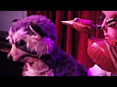 Dabchick at the Cabaret (05/09/15) - YouTube