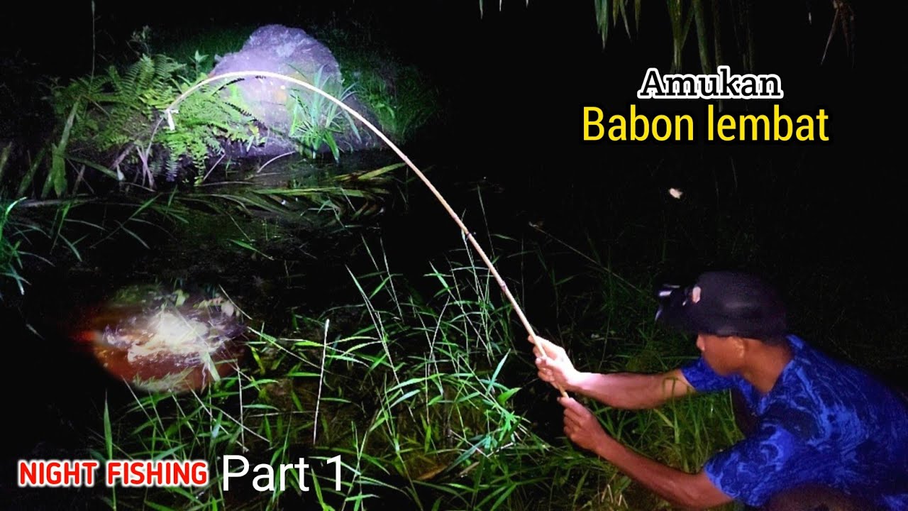 PERLAWANAN IKAN LELE LEMBAT PARIT KECIL || MANCING LEMBAT MALAM - YouTube