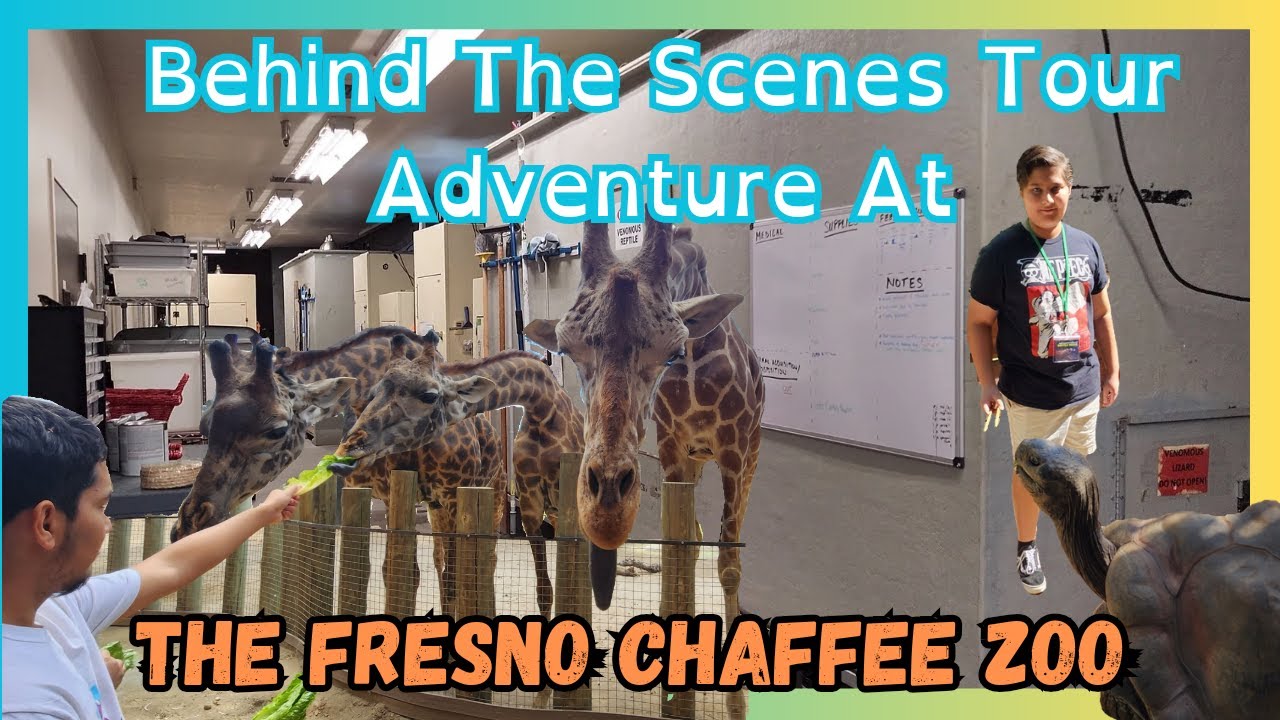 Behind The Scenes Tour At The Fresno Chaffee Zoo - YouTube