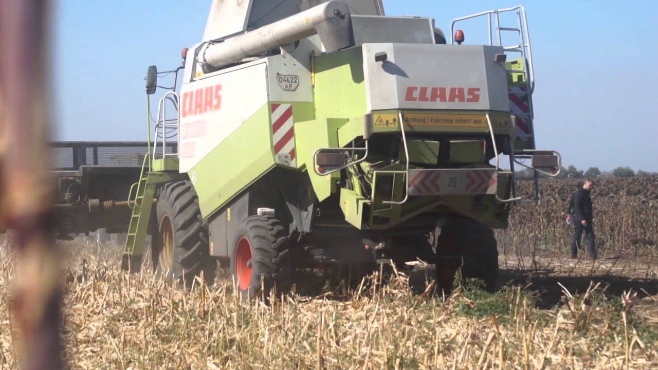 Claas Lexion 480 & Geringhoff Header vs sunflower - YouTube