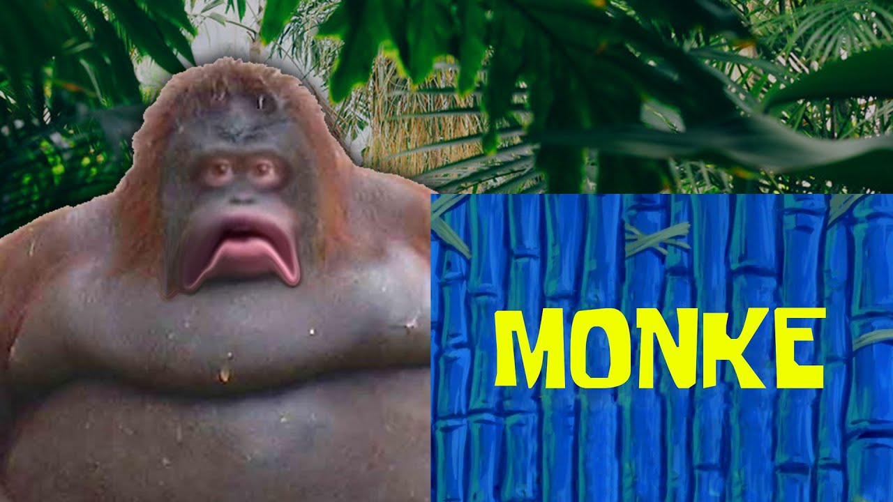 Let's Go...Monke!? - YouTube