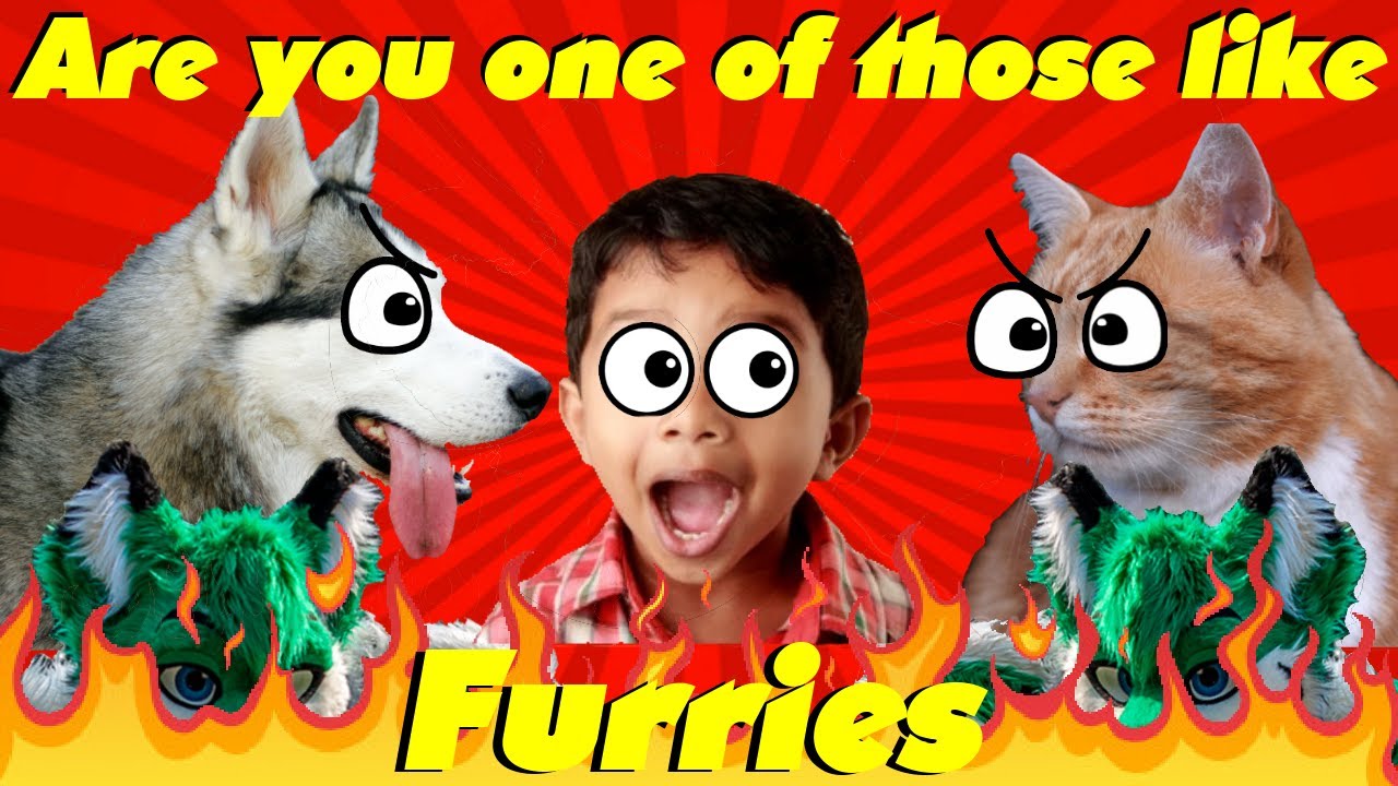 Kids React To Furries On Omegle : Cats Vs Dogs - YouTube